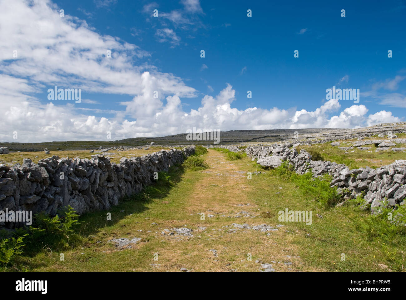 Fanore hi-res stock photography and images - Alamy