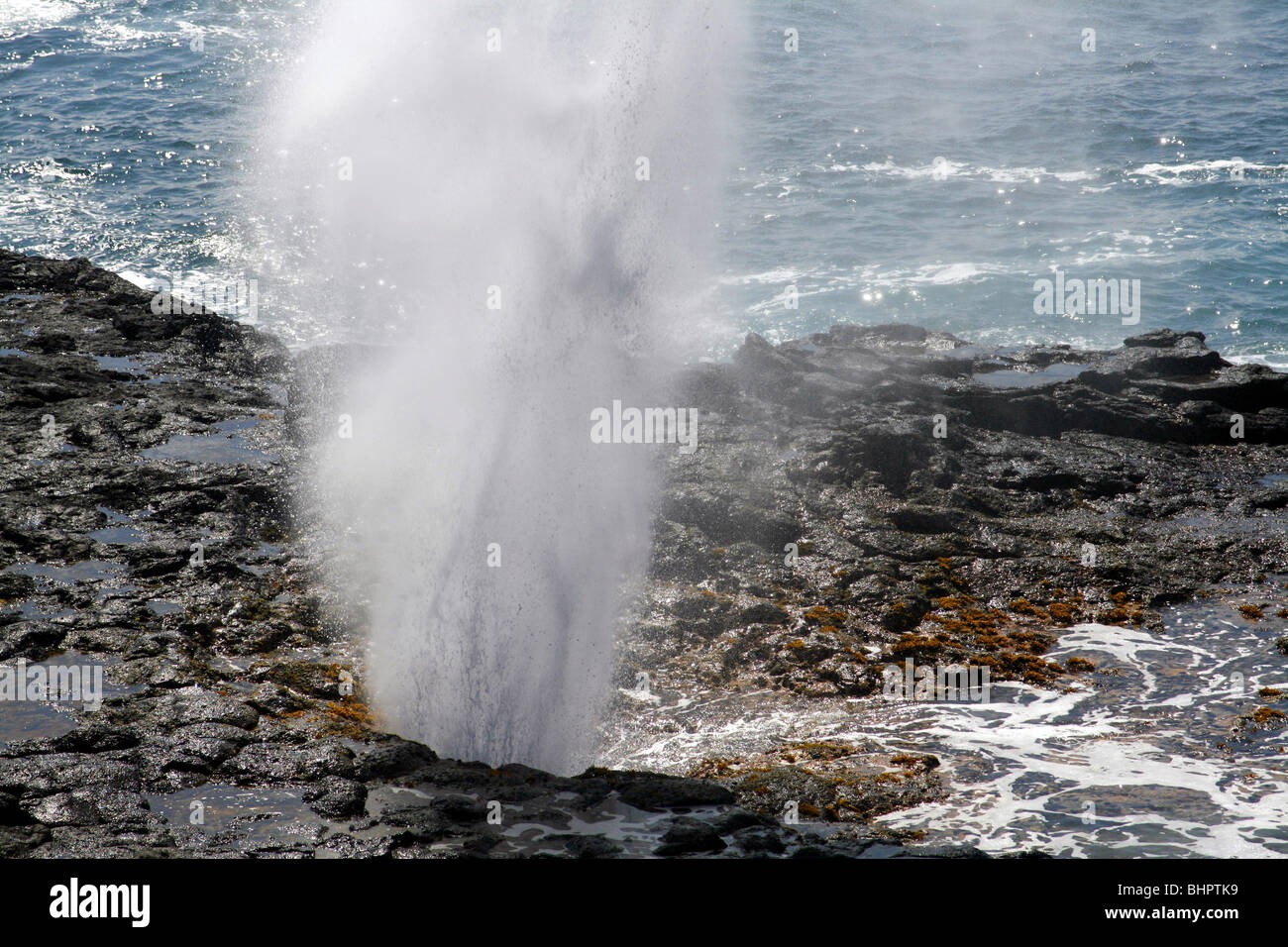 Spouting blowhole hi-res stock photography and images - Alamy