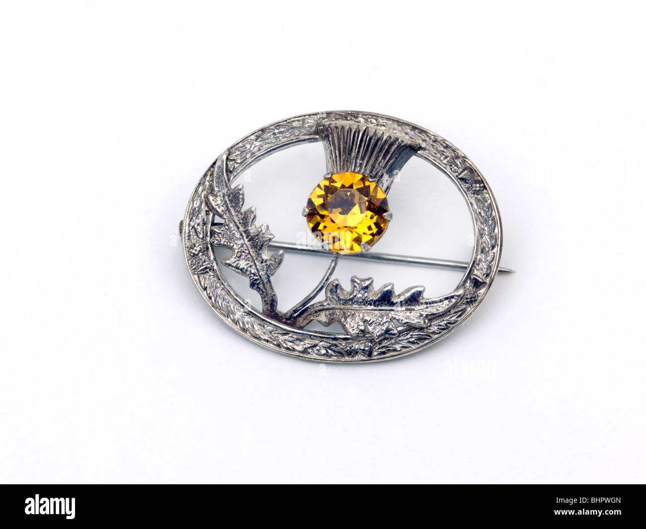 Scottish thistle Cut Out Stock Images & Pictures - Alamy