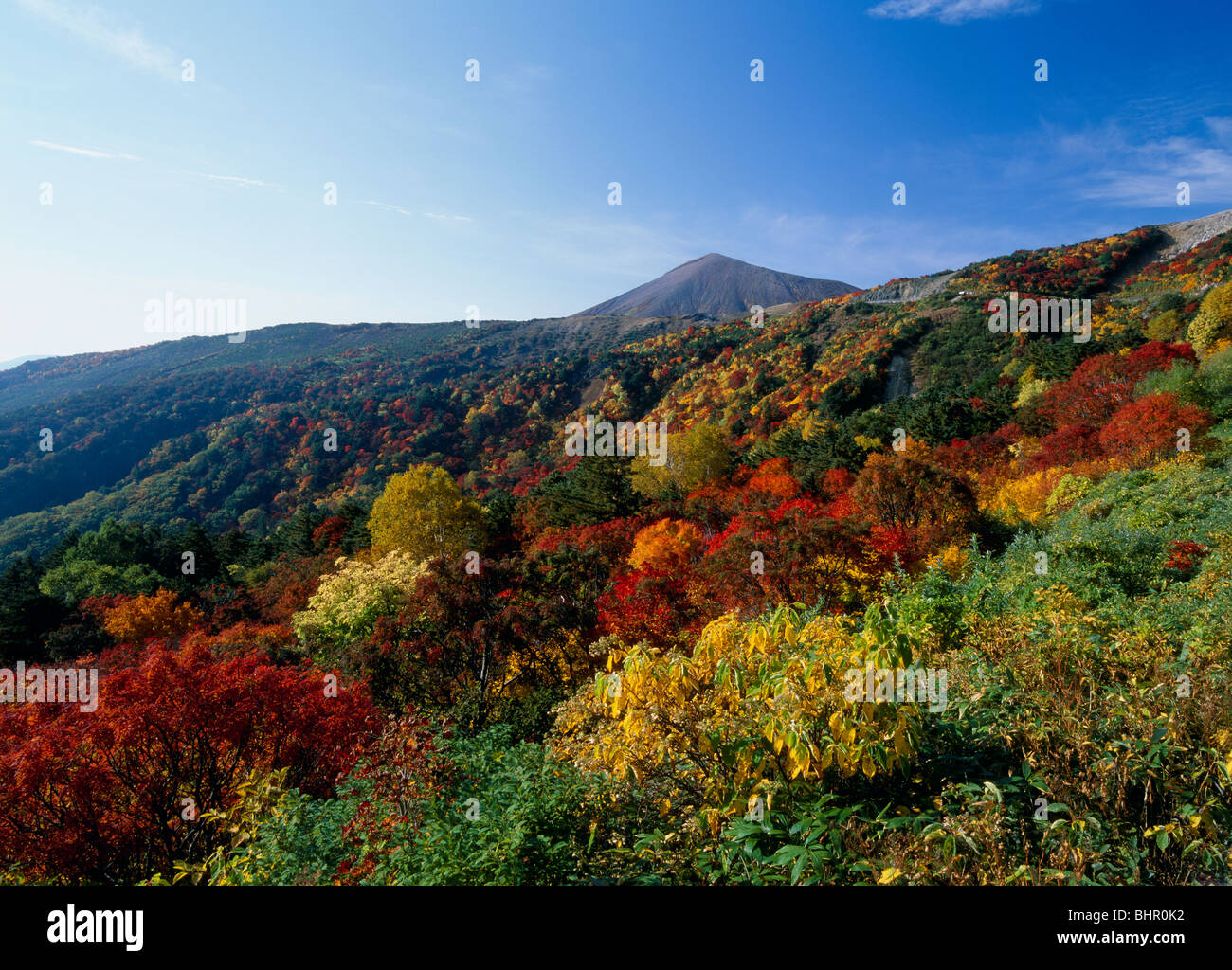 Autumn Leaves at Tengu Garden, Fukushima, Fukushima, Japan Stock Photo ...