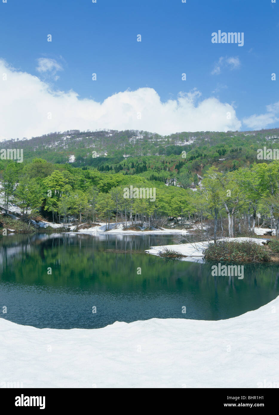 Nishikawa hi-res stock photography and images - Alamy