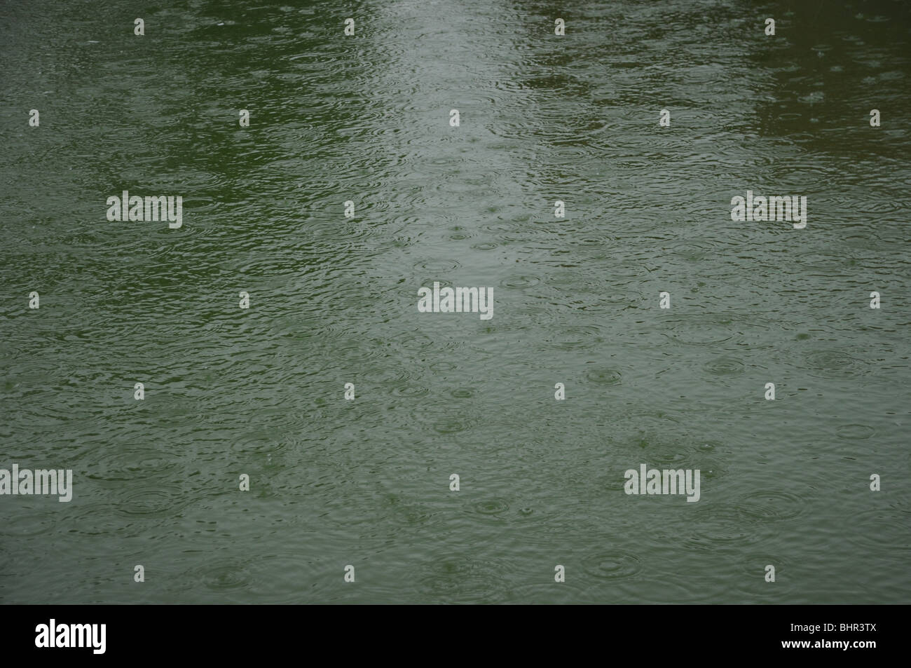 Monsoon rain on a green pond in India Stock Photo - Alamy