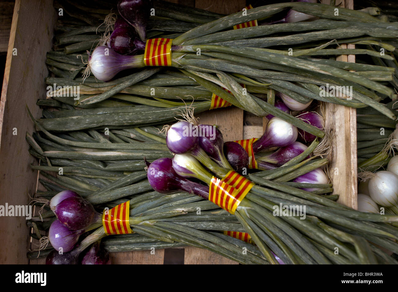 Locally grown products onions hi-res stock photography and images - Alamy