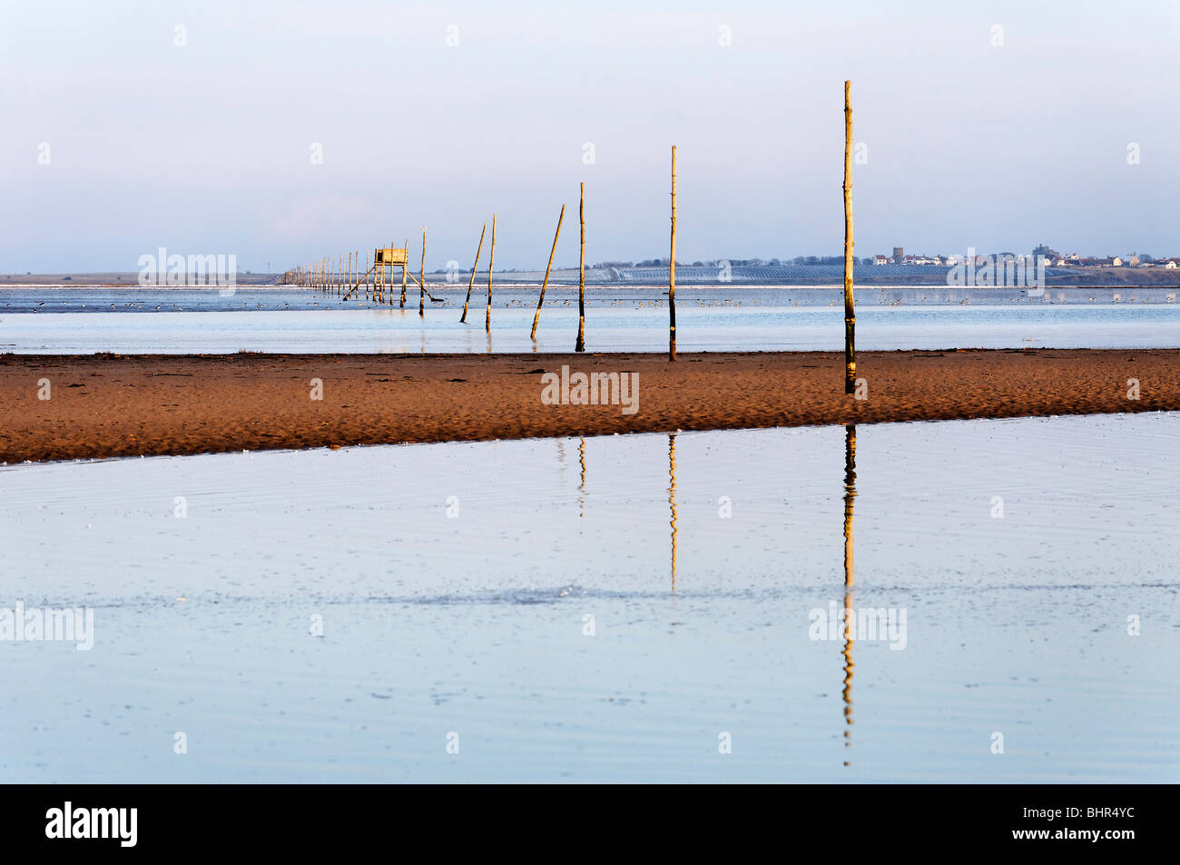 Rising tide on the Pilgrim's Way footpath to Lindisfarne Stock Photo ...