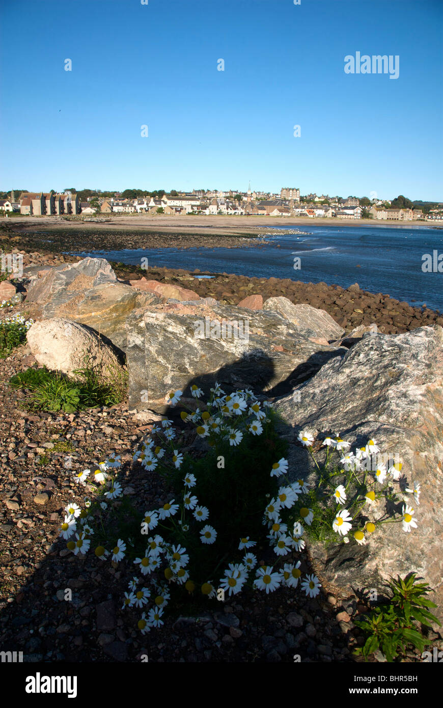 Stonehaven seafront hi-res stock photography and images - Alamy