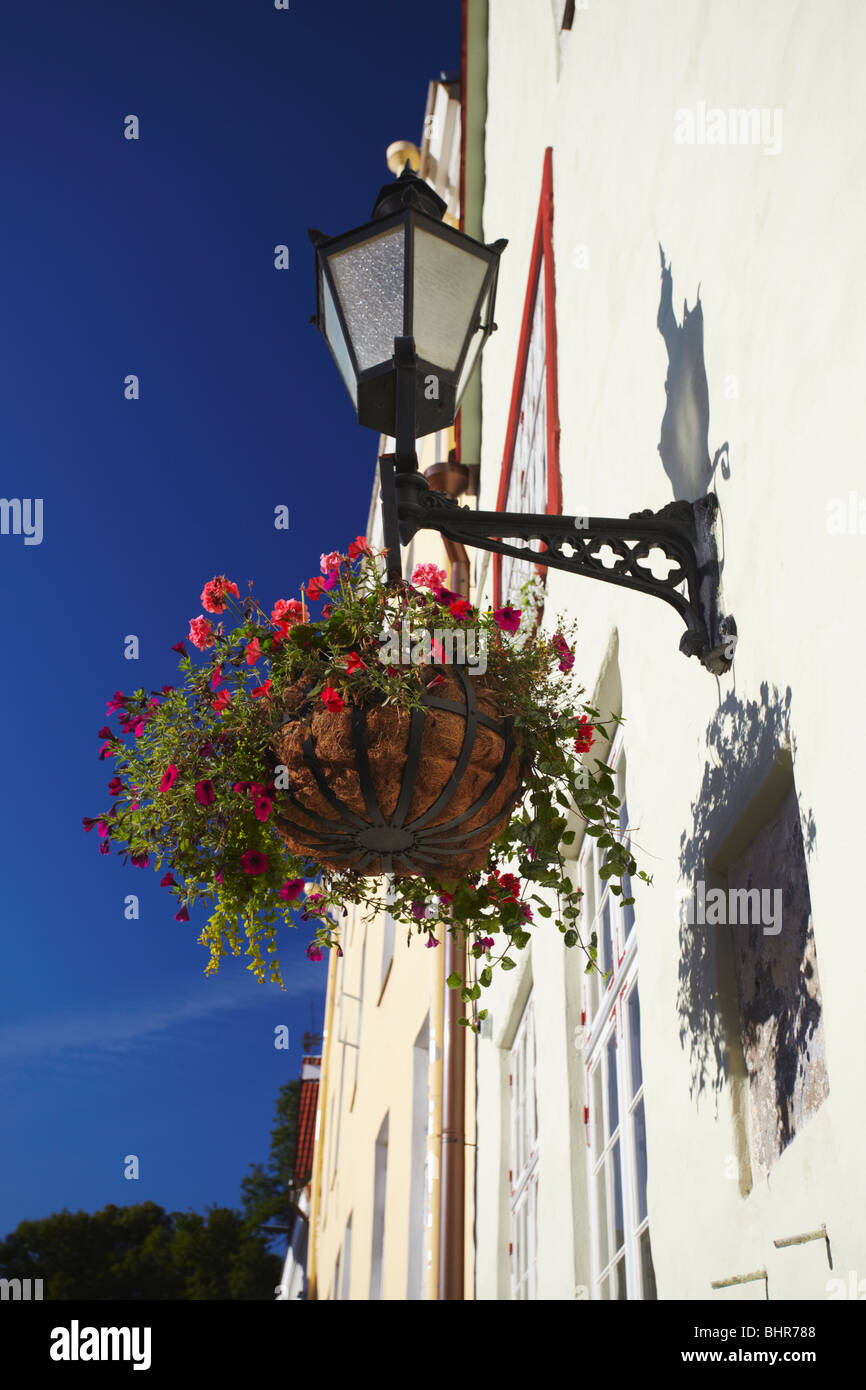 Rüütli hi-res stock photography and images - Alamy