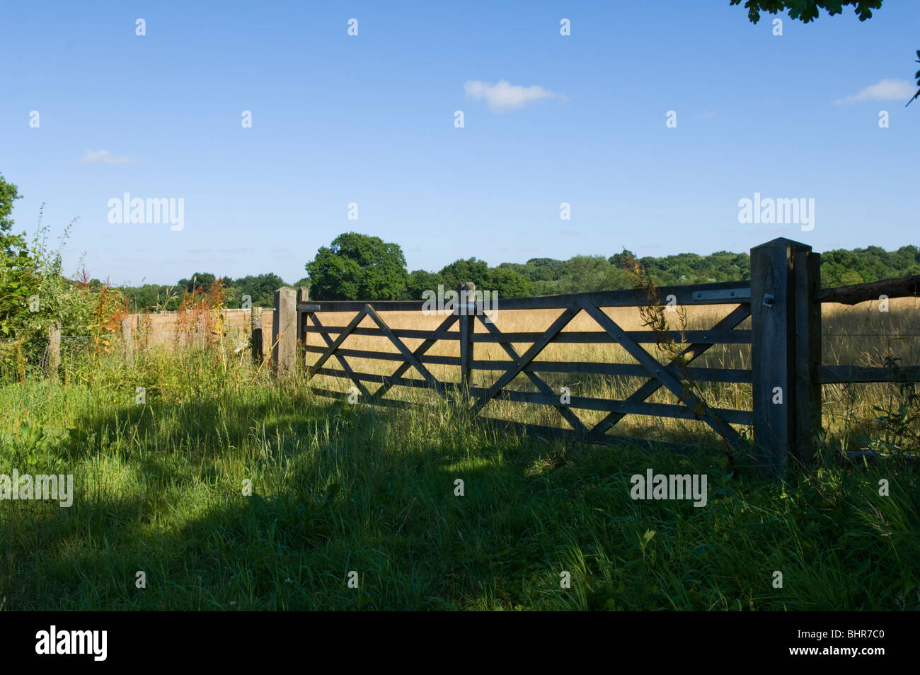 Gates in a field hi-res stock photography and images - Alamy