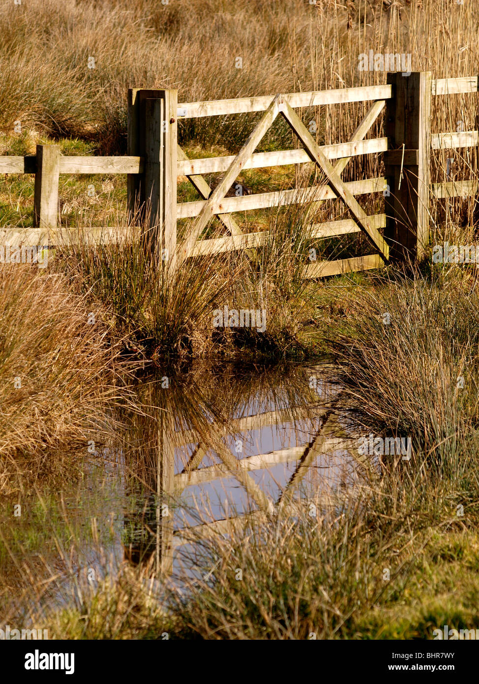 Water gate farm hi-res stock photography and images - Alamy