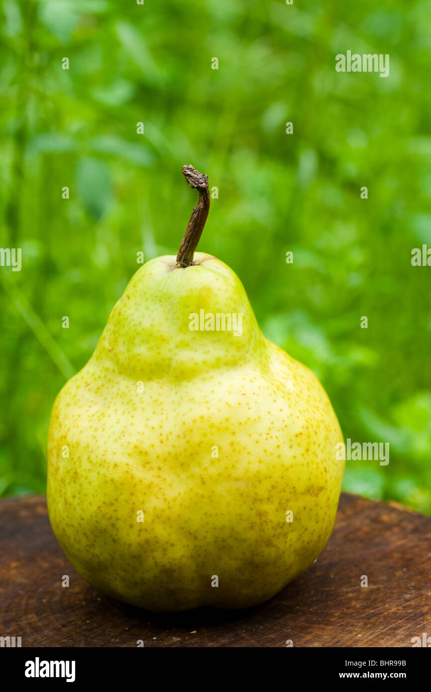 Single pear on a log over blurred green background Stock Photo - Alamy