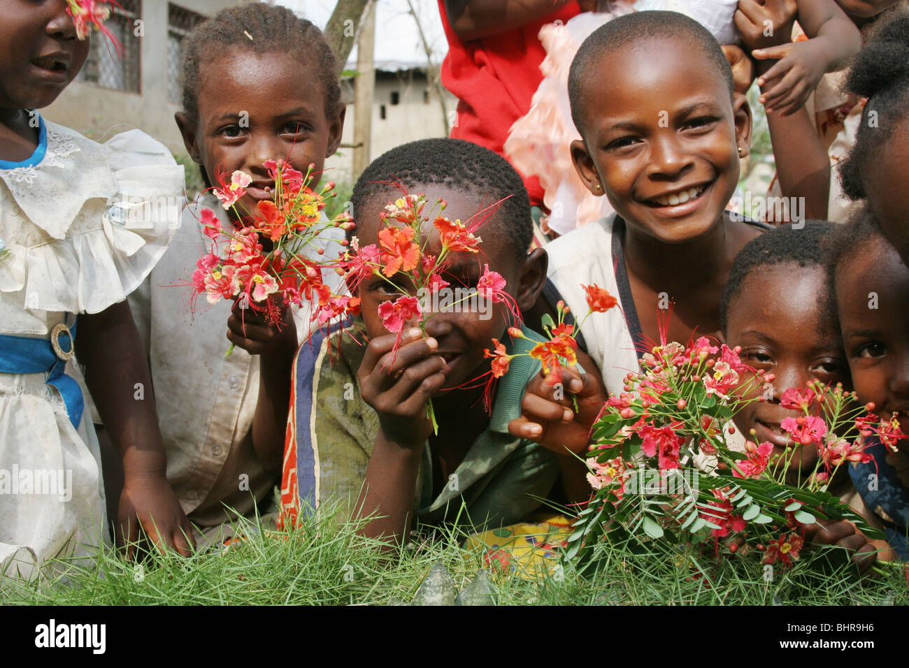 Africa community cameroon hi-res stock photography and images - Alamy