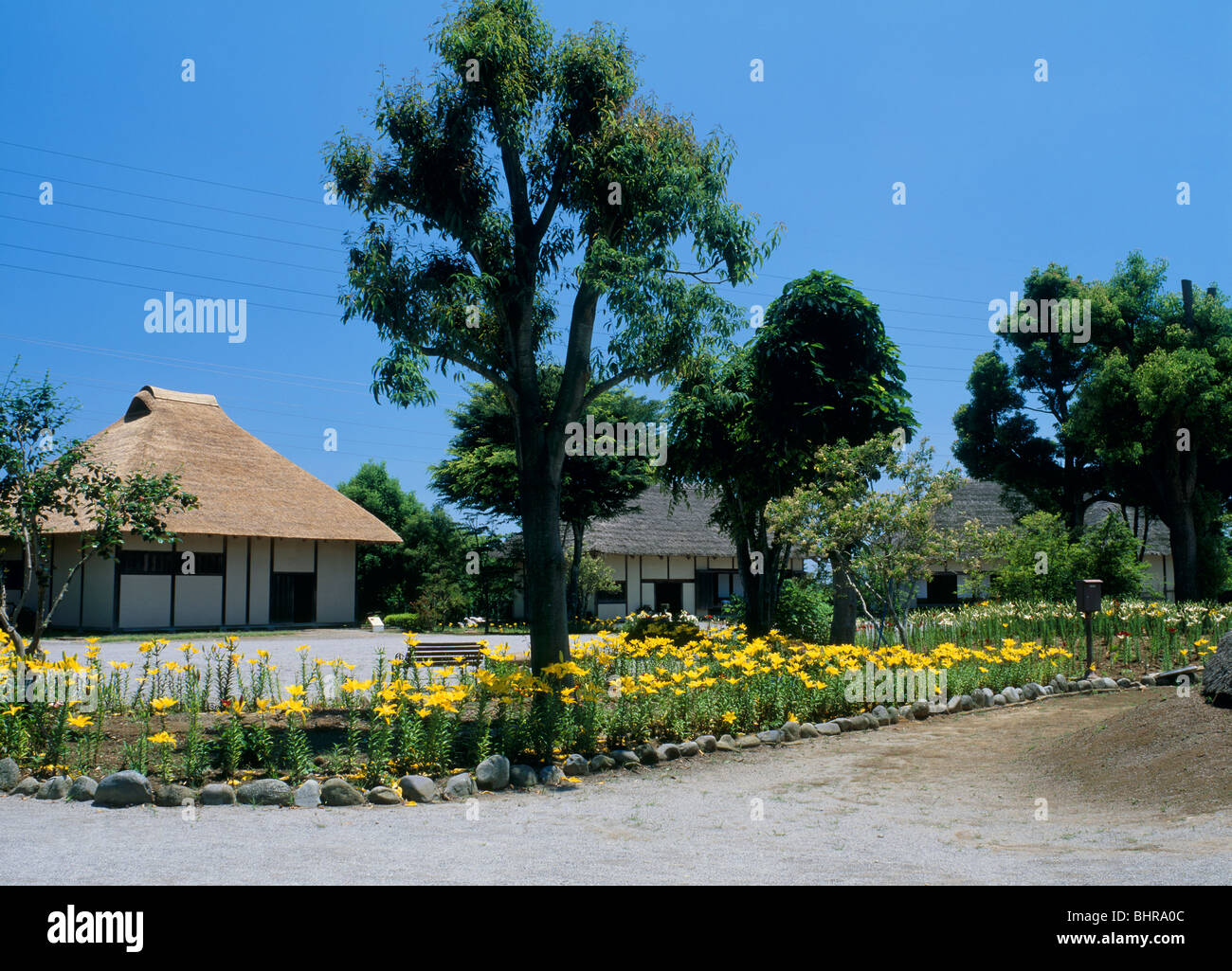Hitachi Fudoki-no-oka Park, Ishioka, Ibaraki, Japan Stock Photo - Alamy
