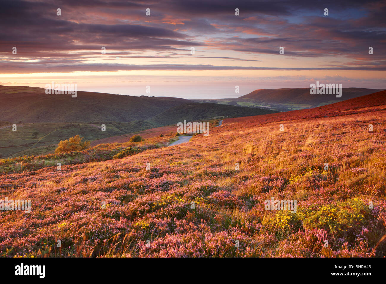 Porlock hill hi-res stock photography and images - Alamy