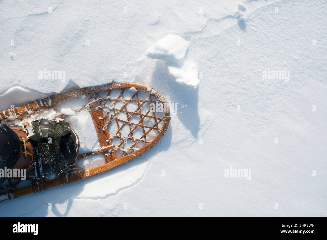 Snowshoe canada hi-res stock photography and images - Alamy