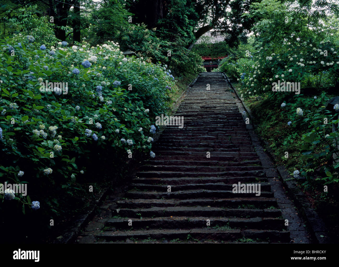 Rakuhouji temple hi-res stock photography and images - Alamy