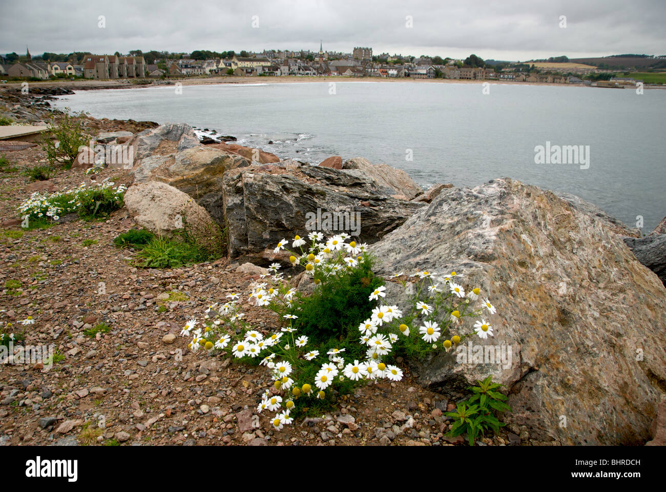 Stonehaven Aberdeenshire Scotland UK Seashore Beach Rocks Stock Photo ...