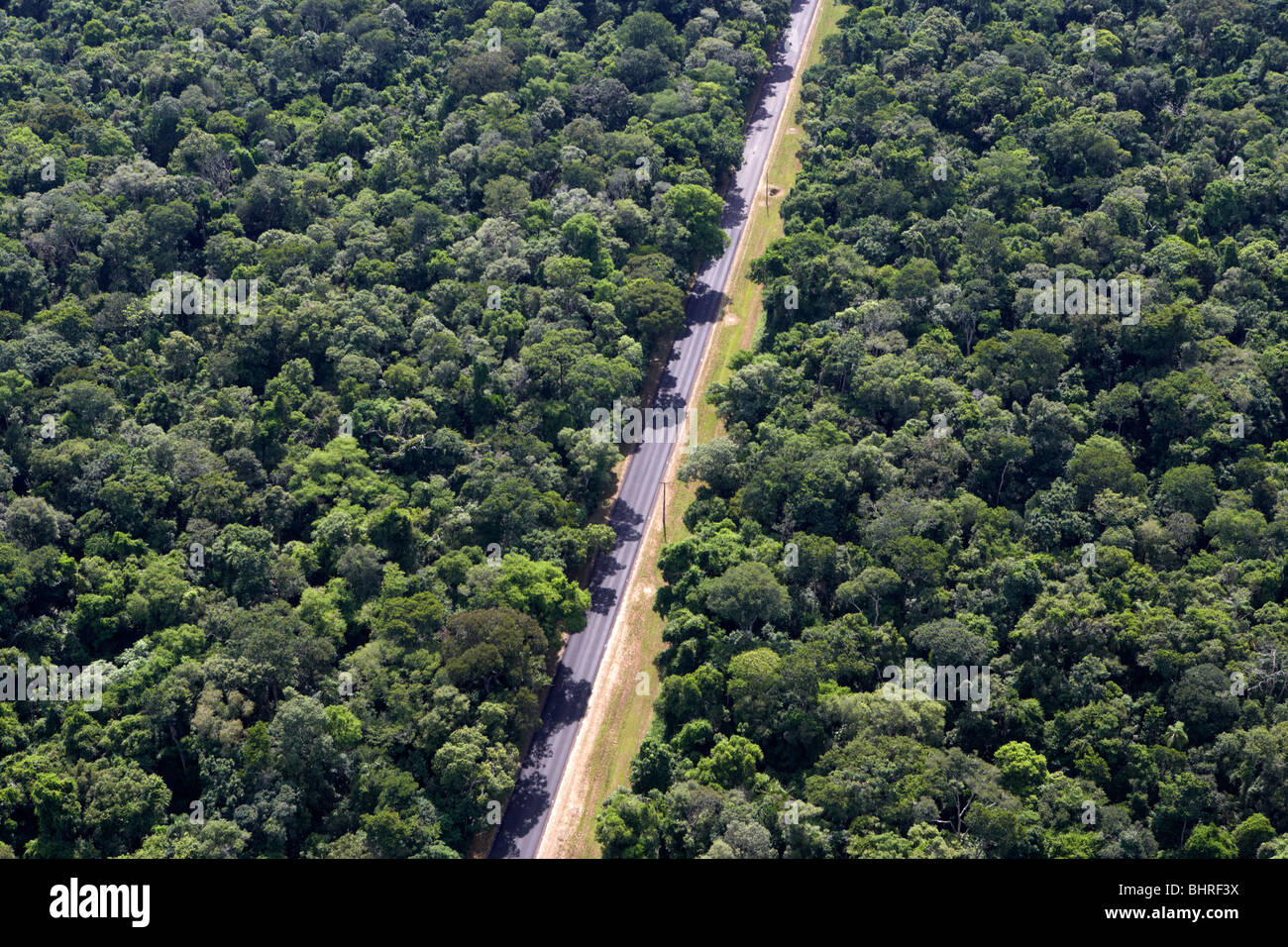 Road cutting through forest tropics hi-res stock photography and images ...