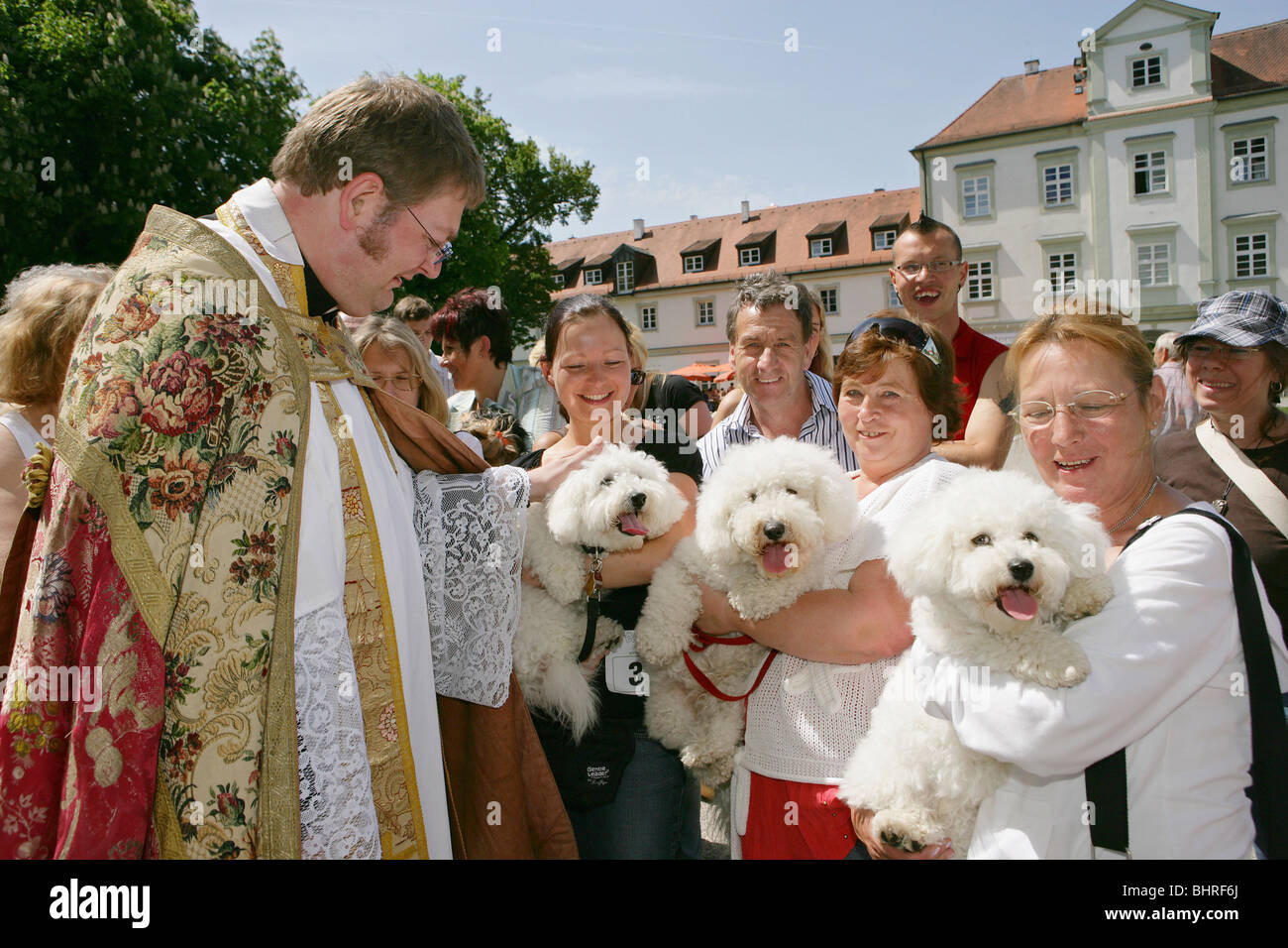 Priest blessing animal hi-res stock photography and images - Alamy