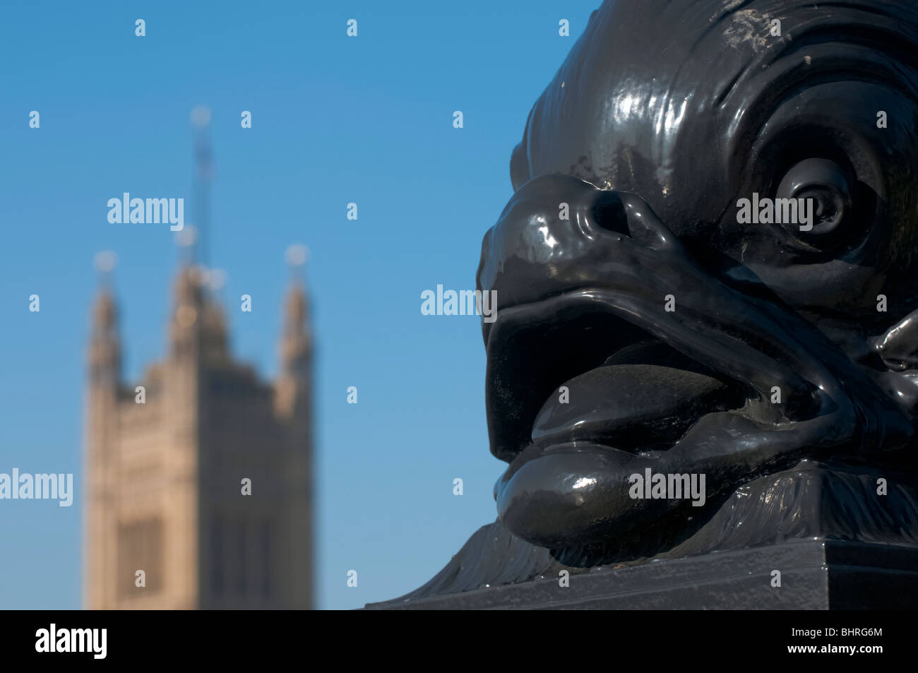 Grumpy fish hi-res stock photography and images - Alamy