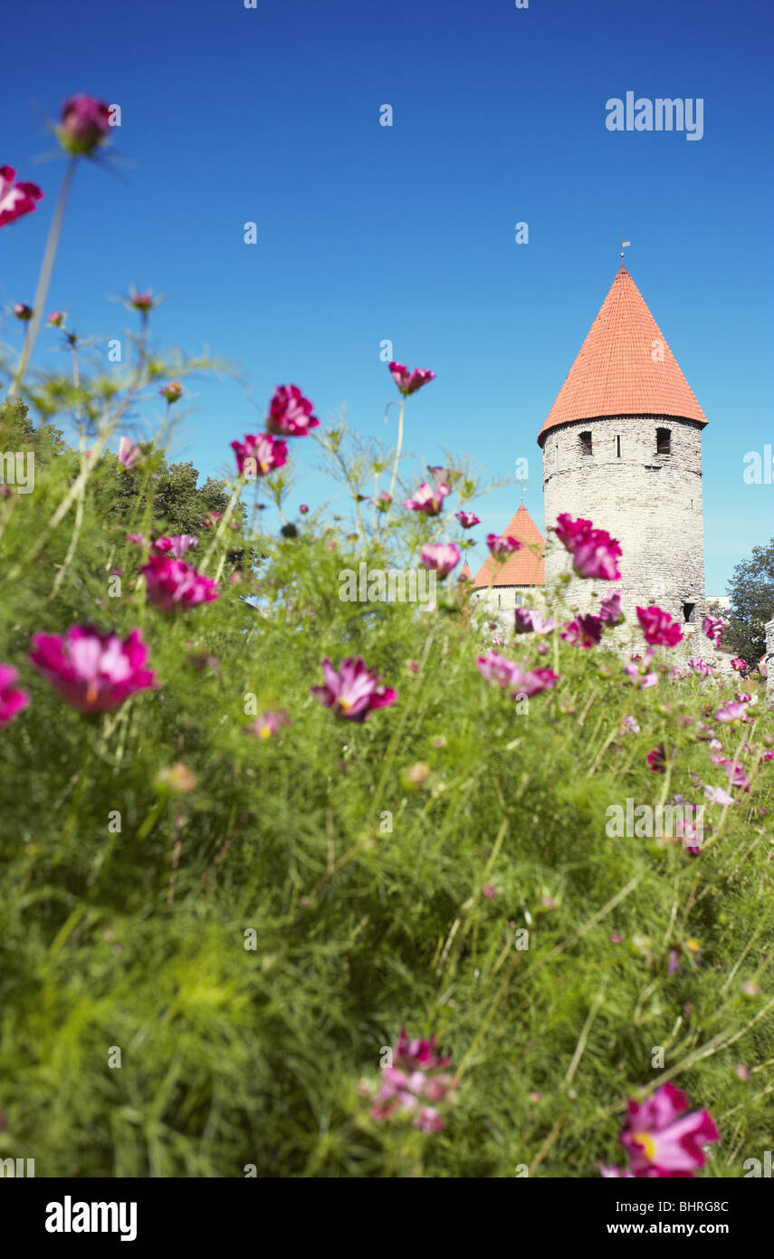 Tallinn flower garden hi-res stock photography and images - Alamy