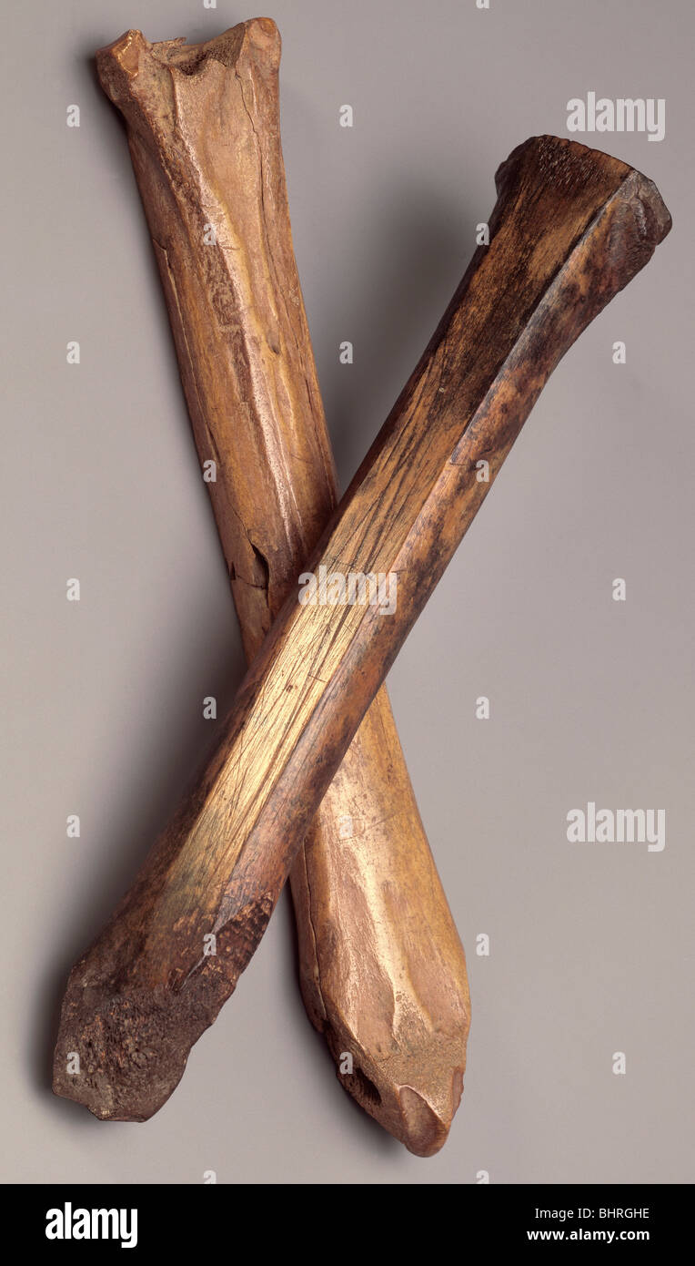 Bone skates 12th century hi-res stock photography and images - Alamy