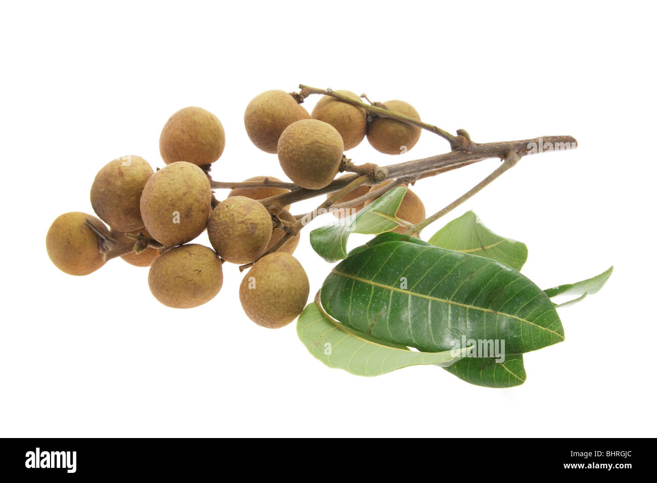 Chinese longans hi-res stock photography and images - Alamy