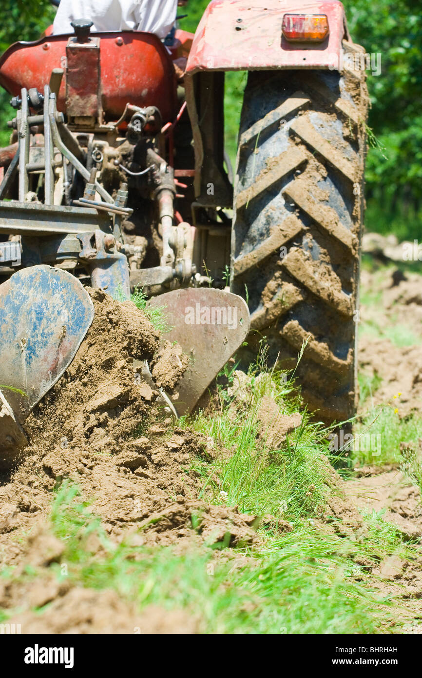 Old farmer plowing between trees in an orchard Stock Photo - Alamy