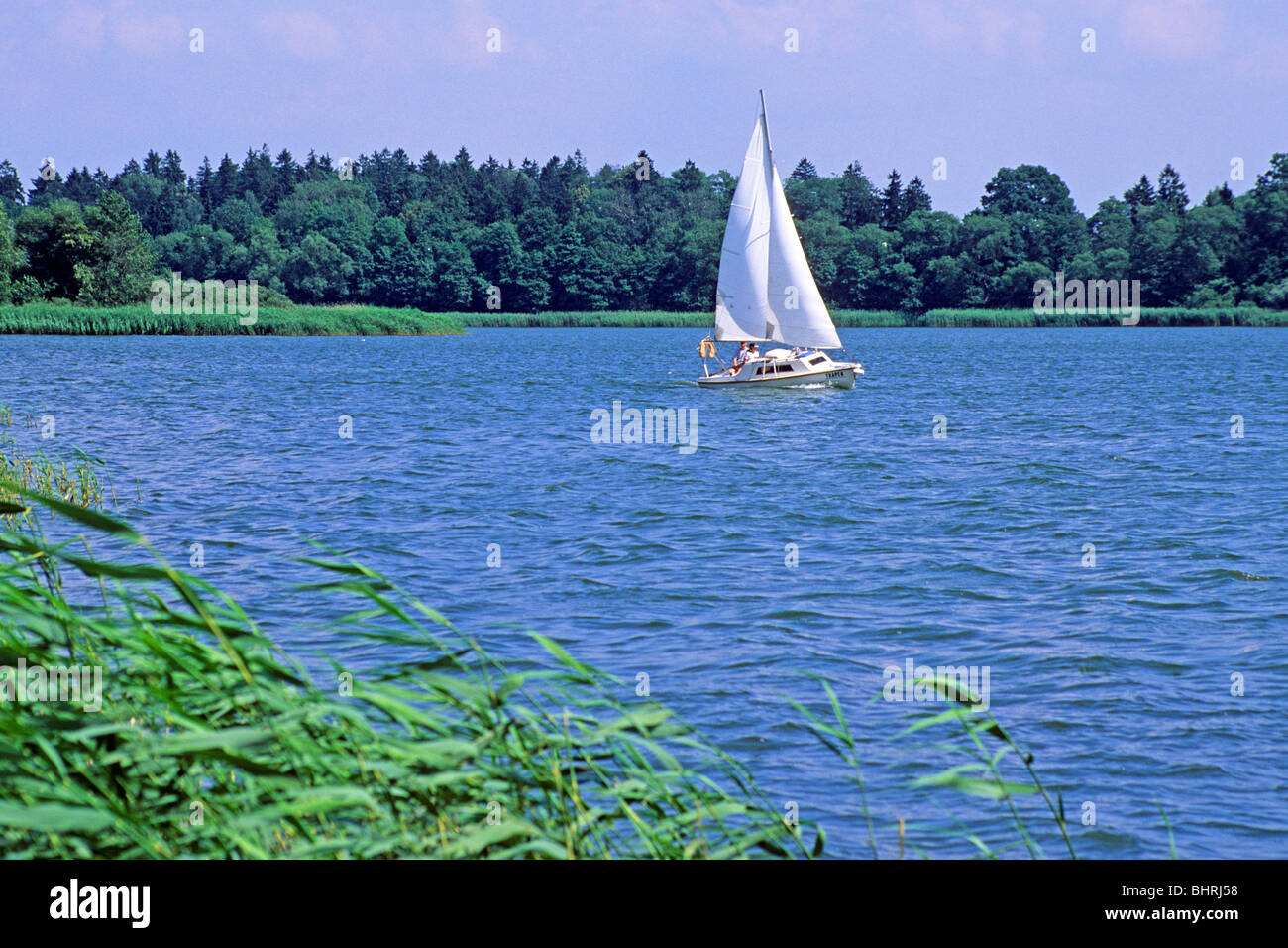 Jez jagodna hi-res stock photography and images - Alamy