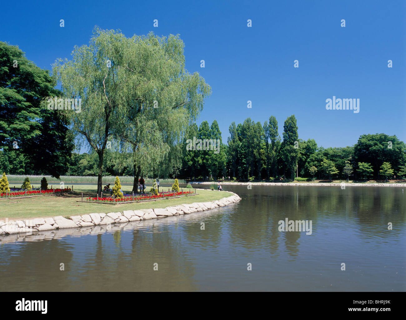 Douhou Park, Tsukuba, Ibaraki, Japan Stock Photo - Alamy
