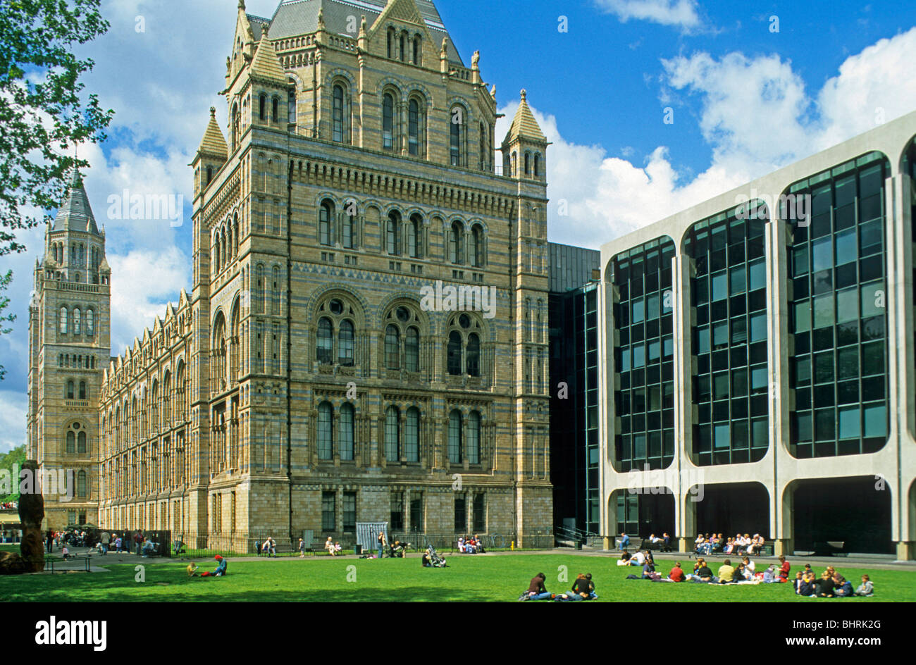 Natural History Museum, London, England Stock Photo - Alamy