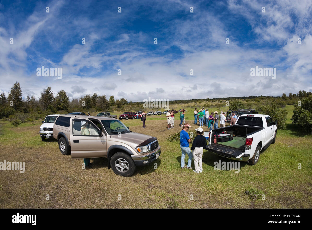 Caravan of four wheel drive vehicles tours Kapapala Ranch in Kau ...