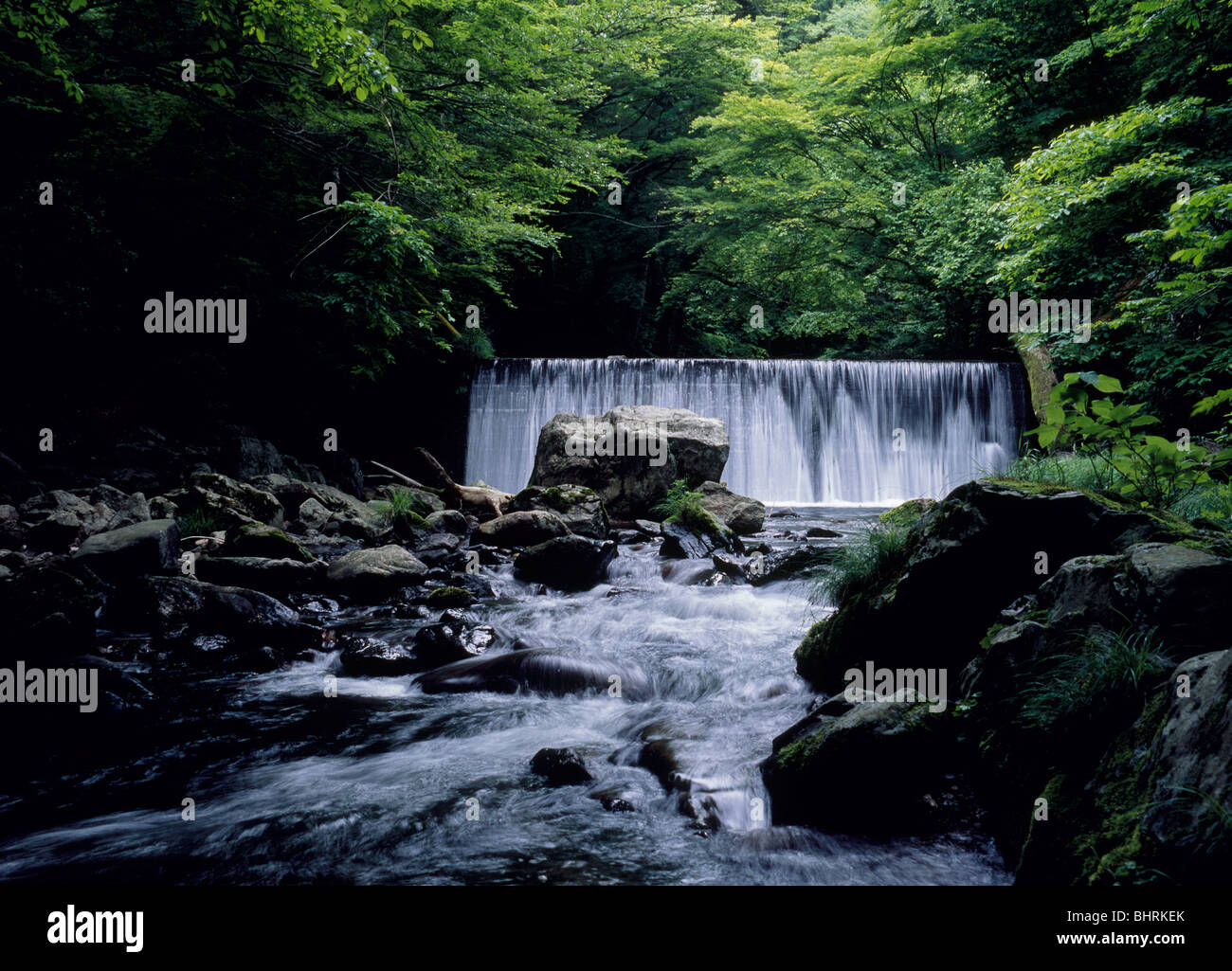 Hanazono River, Kitaibaraki, Ibaraki, Japan Stock Photo - Alamy