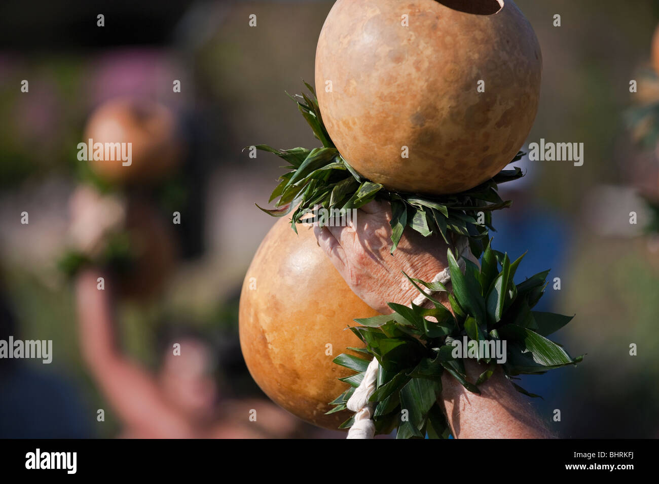 Detail of traditional Hawaiian ipu heke used in performance in Kahiko ...
