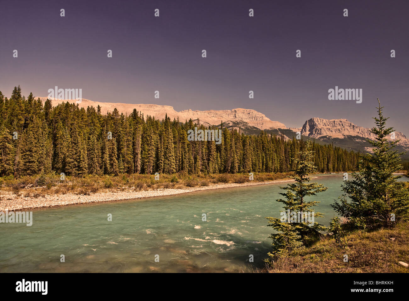 The bow river banff national park hi-res stock photography and images - Alamy