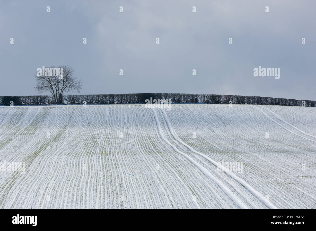 Frozen soil layer hi-res stock photography and images - Alamy