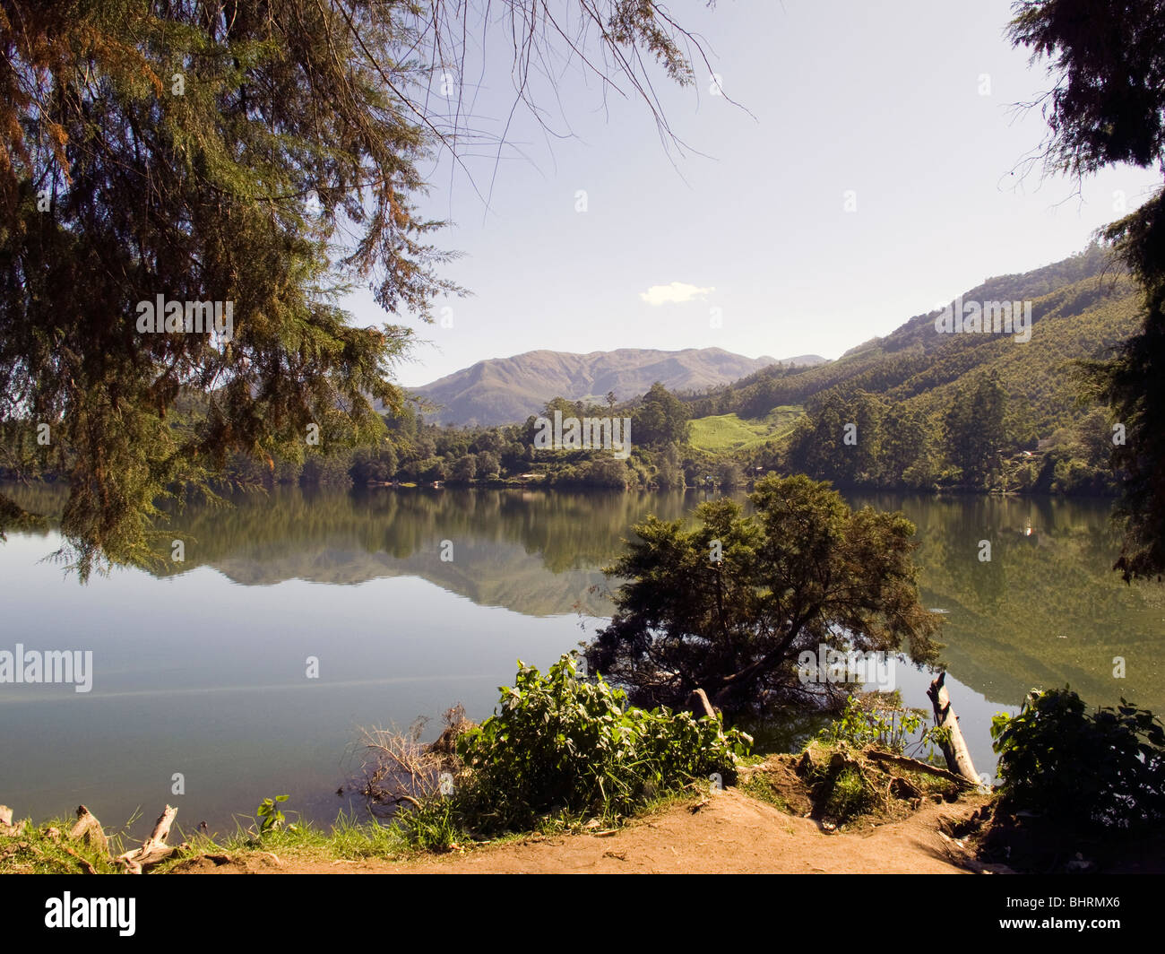India, Kerala, Munnar, Kundala Lake Stock Photo - Alamy