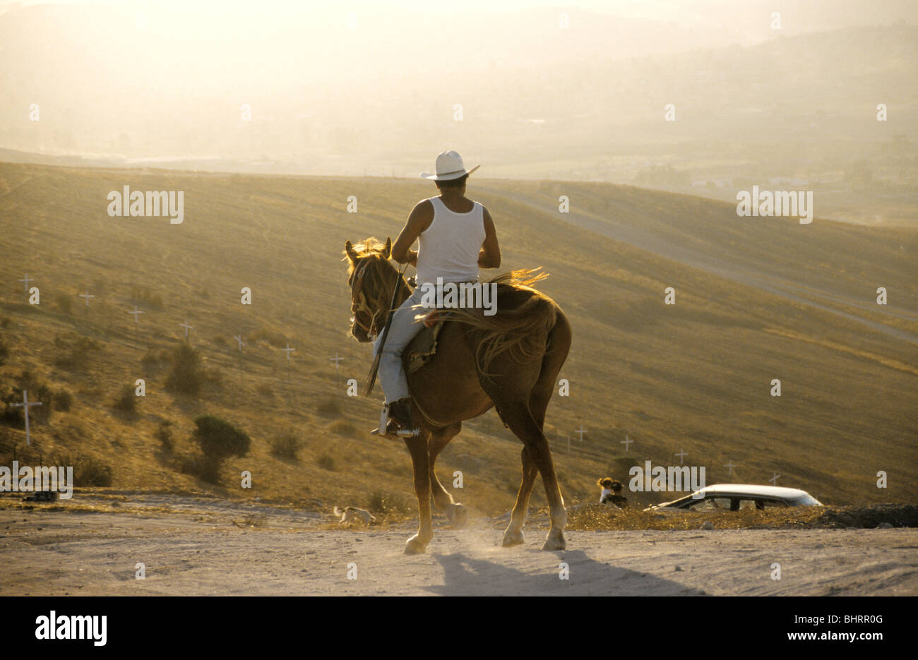 Mexican on horseback -Maclovio Rojas Stock Photo - Alamy