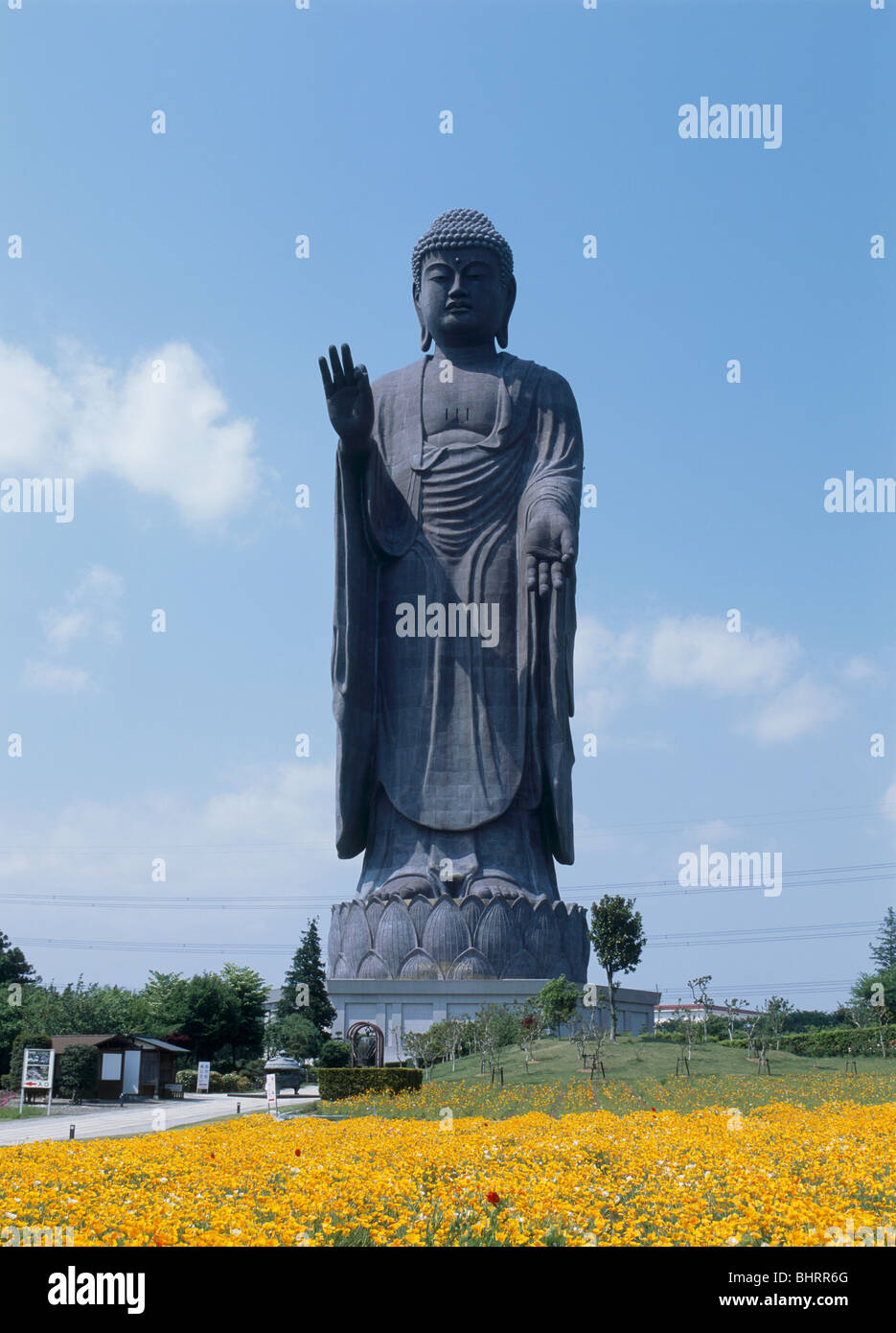 Ushiku Daibutsu, Ushiku, Ibaraki, Japan Stock Photo - Alamy