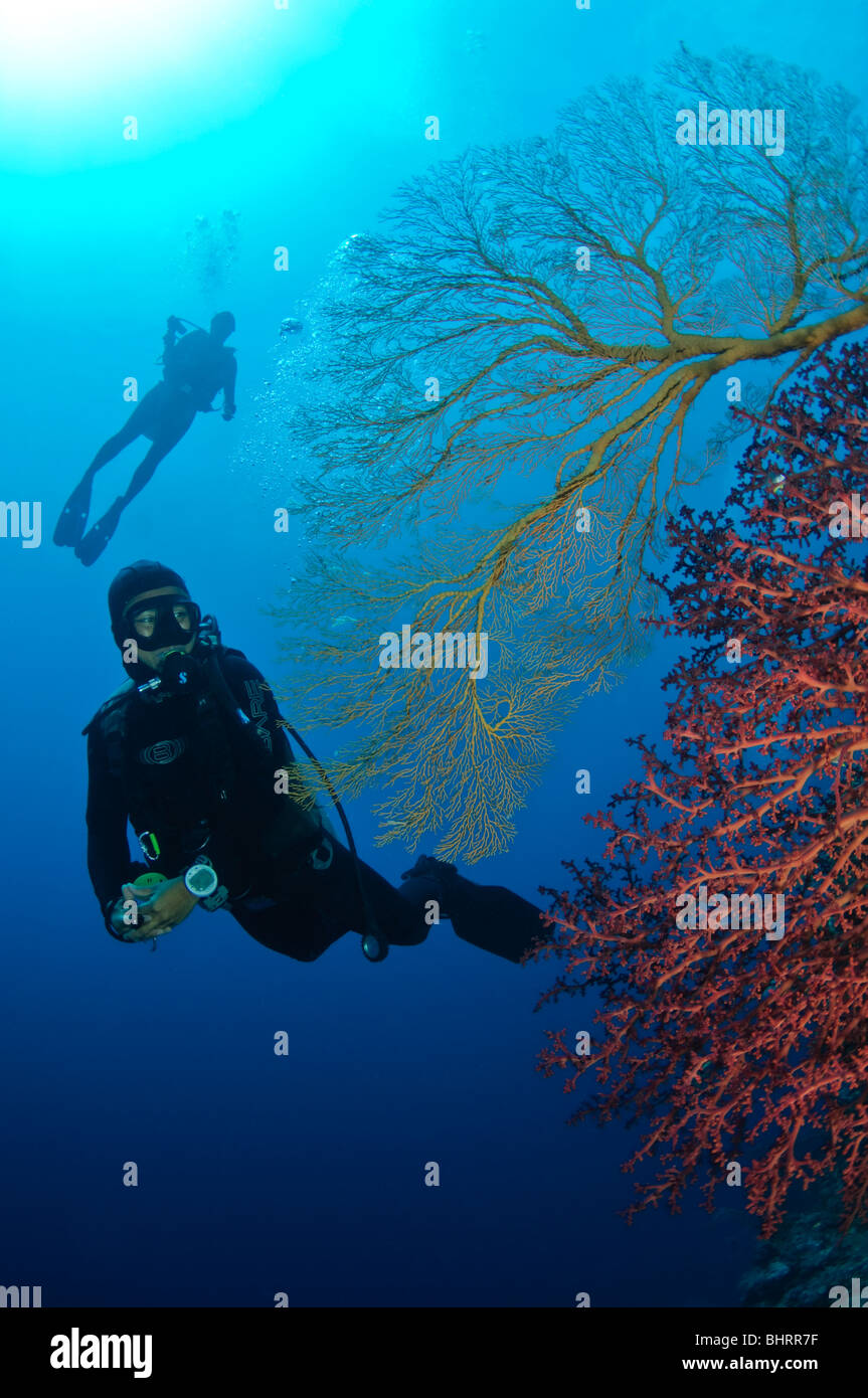 Eco divers hi-res stock photography and images - Alamy