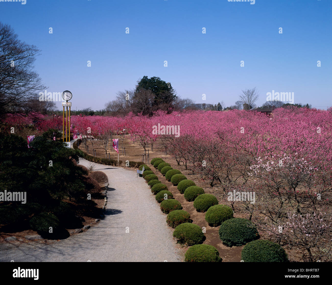 Koga hi-res stock photography and images - Alamy