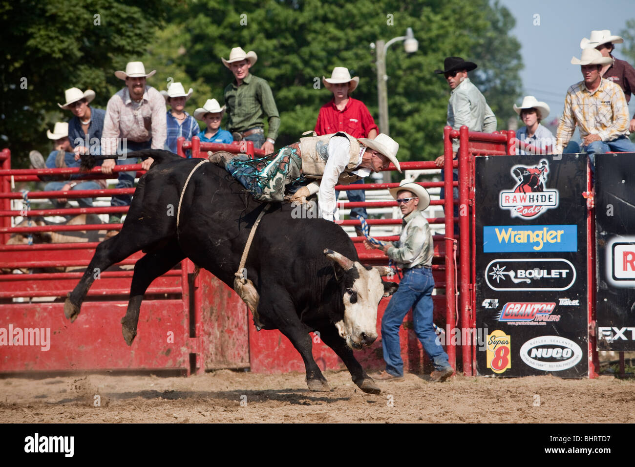 A rodeo cowboy is bucked off a bull during the bull riding competition ...