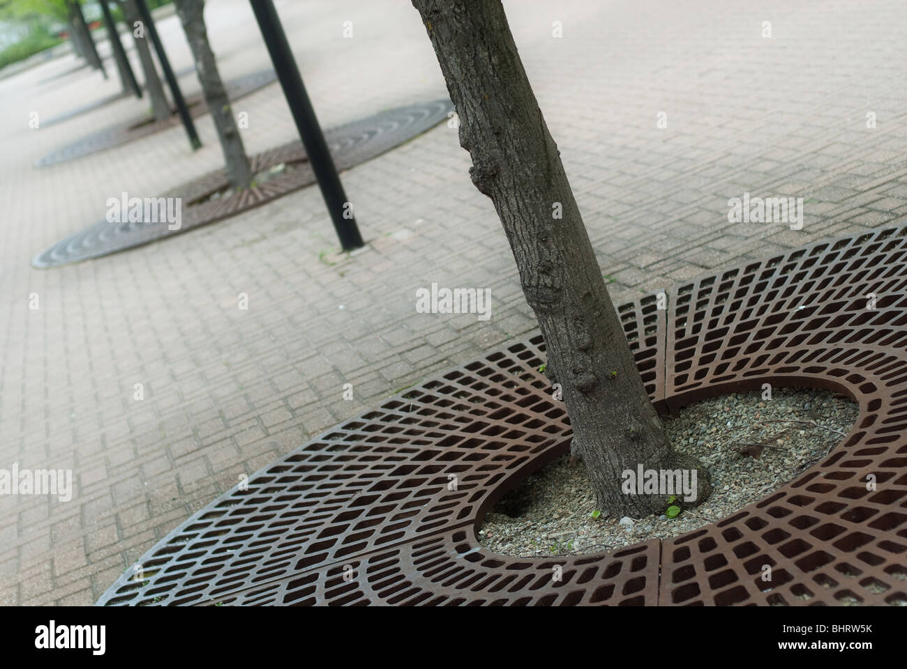 Man made tree environment hi-res stock photography and images - Alamy