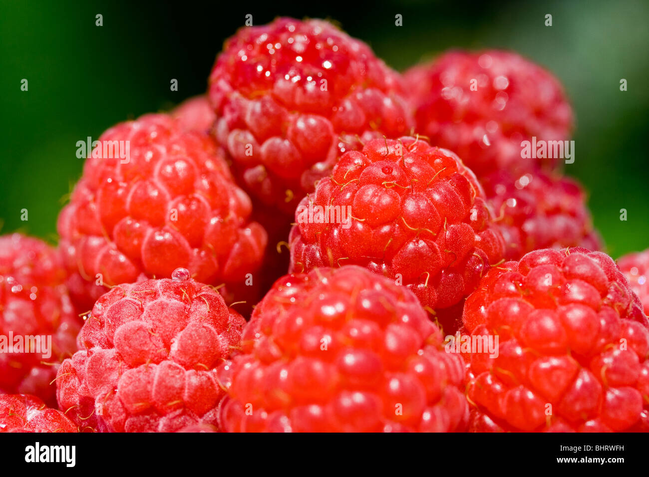 Over riped hi-res stock photography and images - Alamy