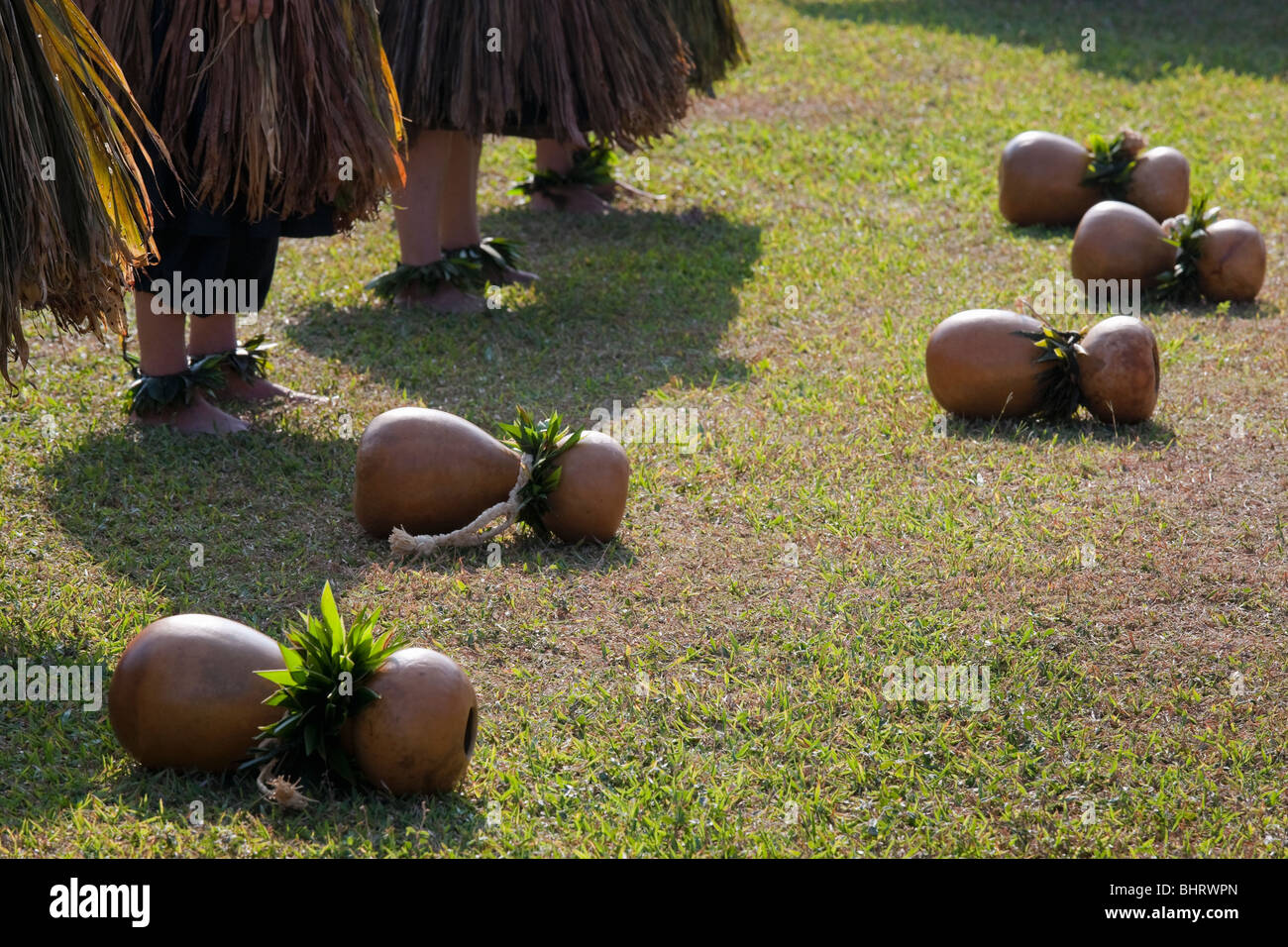 Ti leaf skirted hula dancers in Hawaii with ipu hekes resting in front ...