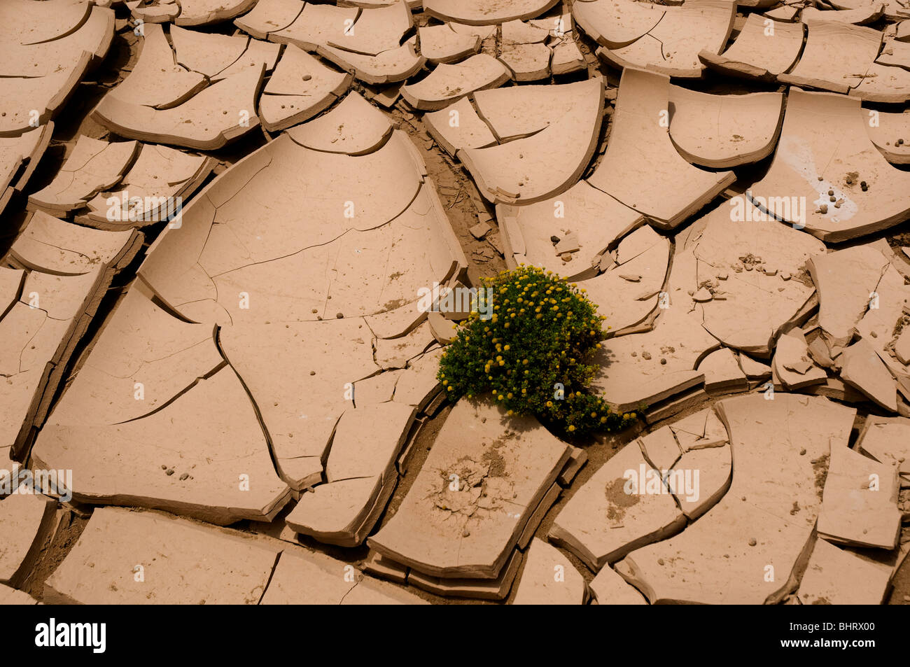 Sweltering conditions hi-res stock photography and images - Alamy