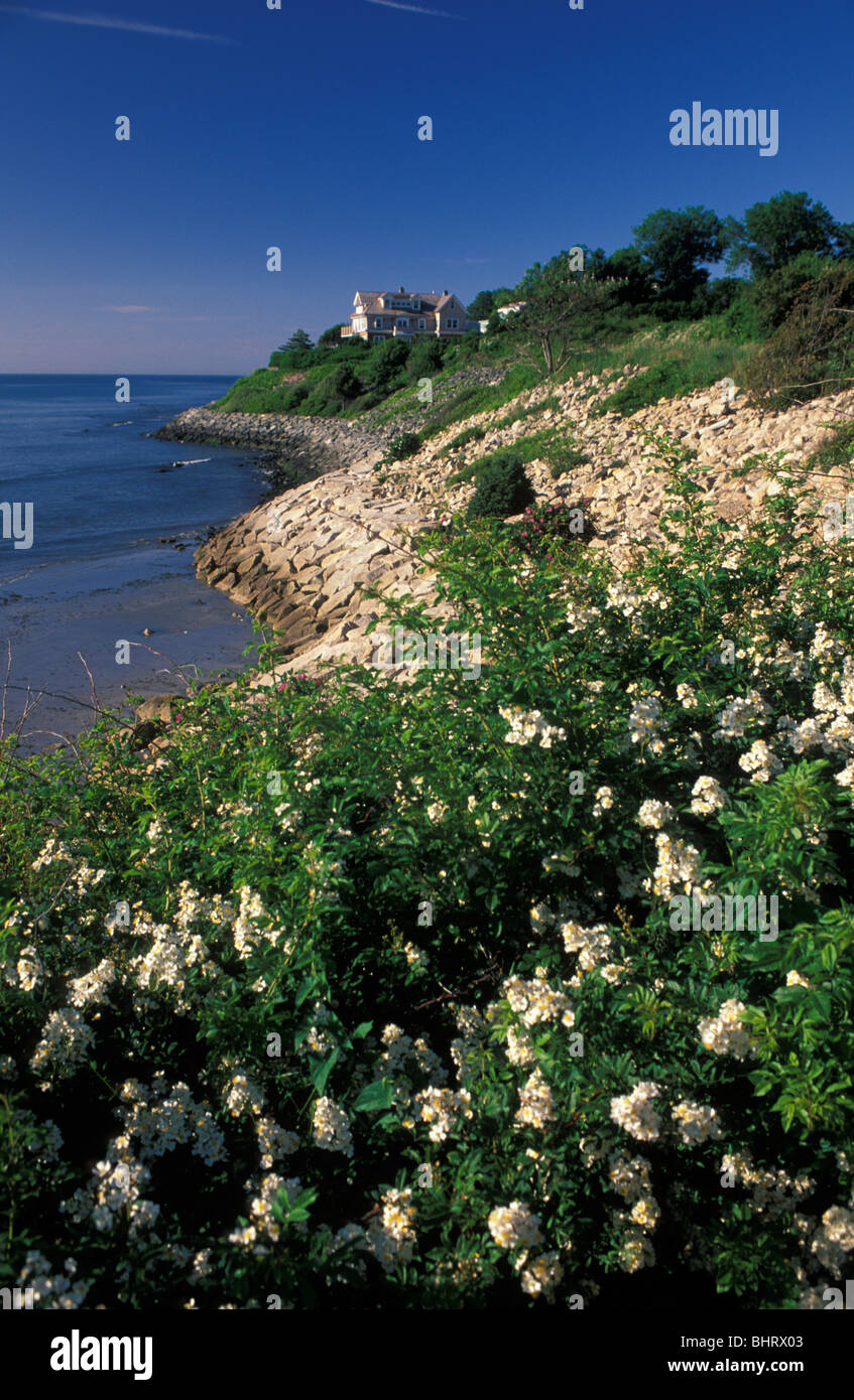 Cliff Walk Trail Newport High Resolution Stock Photography and Images ...