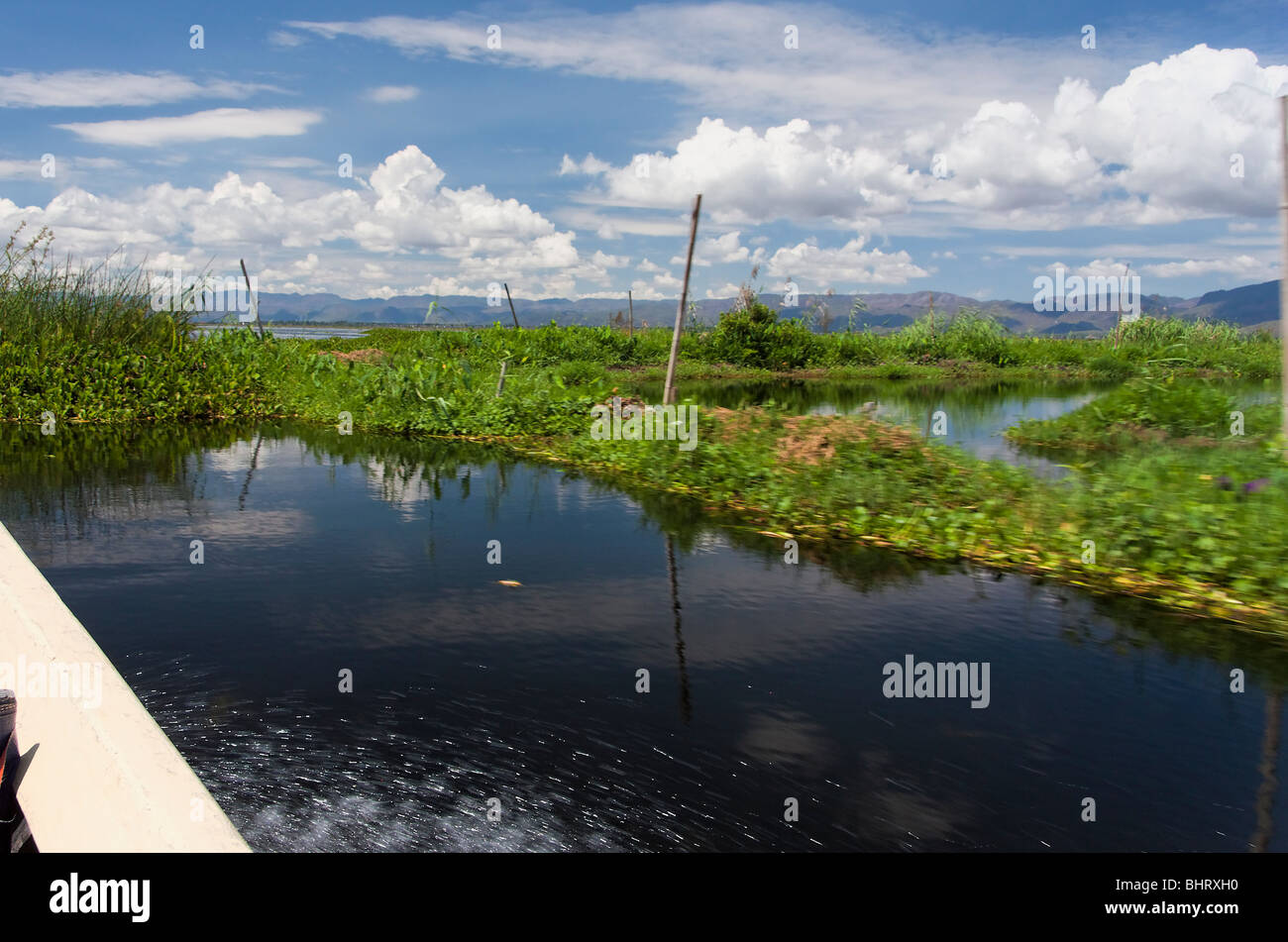 Floating gardens on Inle lake in Myanmar Stock Photo - Alamy