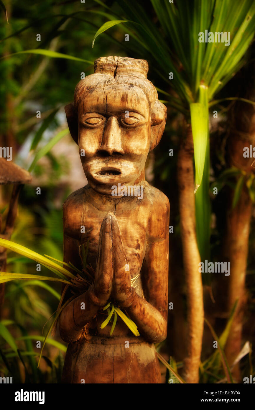 Laos vietnam palm tree hi-res stock photography and images - Alamy