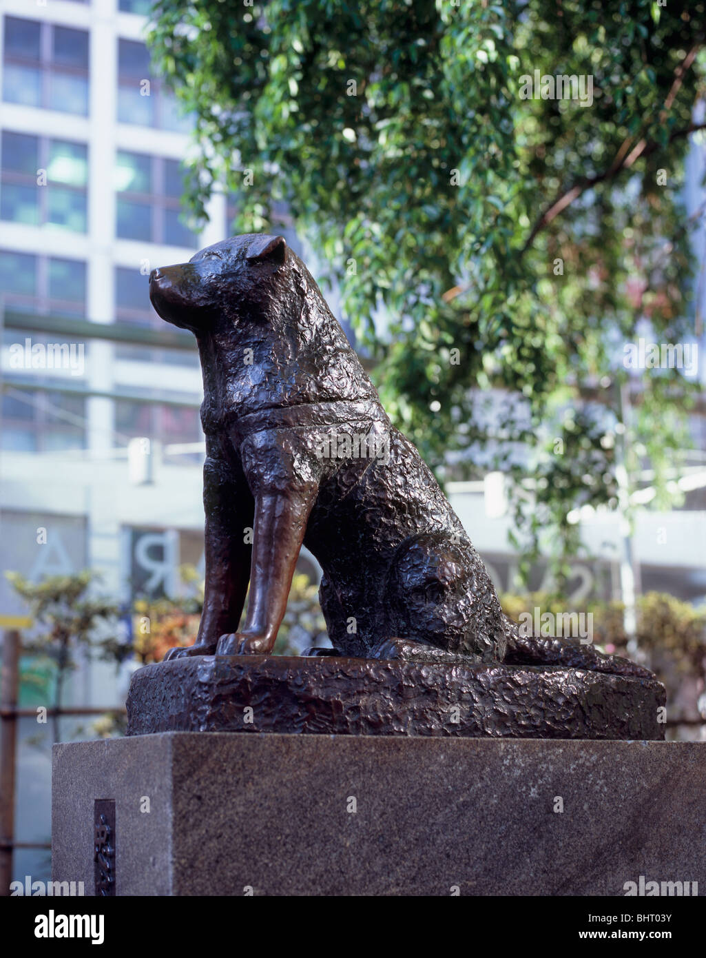 Hachiko statue hi-res stock photography and images - Alamy