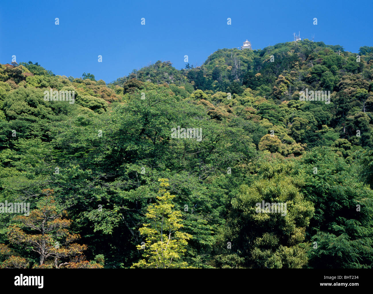 Mount Kinka, Gifu, Gifu, Japan Stock Photo - Alamy