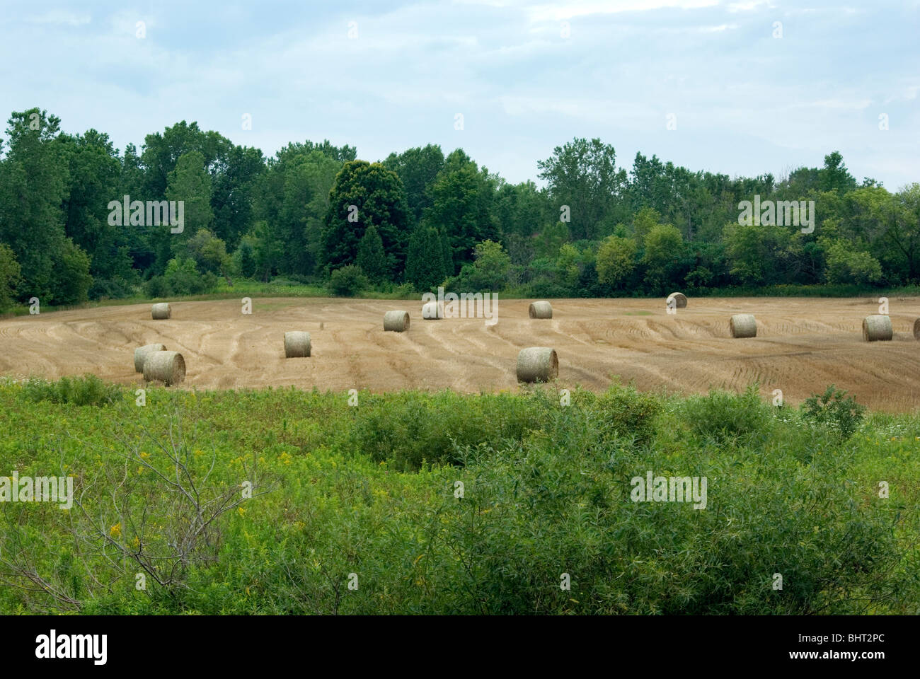 Round hay bales in new mown field Stock Photo - Alamy